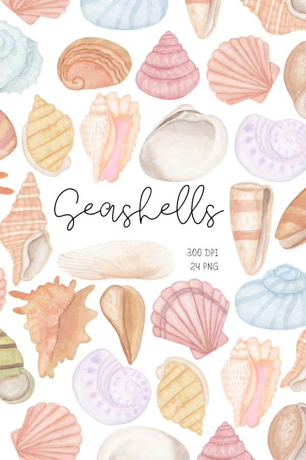 Watercolor seashell beach clipart