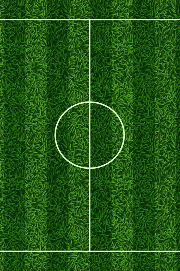 Realistic soccer grass field. Football lawn field, stadium