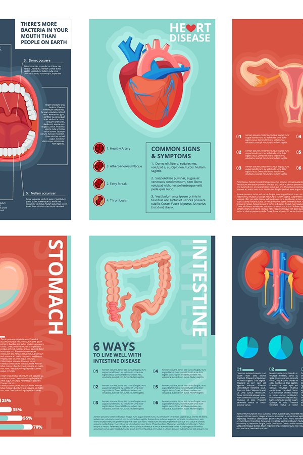 Medical infographic pages. Health digestive systems healthca