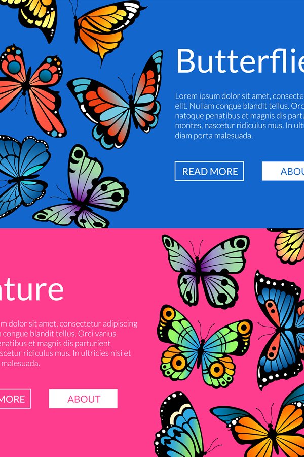 Vector decorative butterflies web banner templates (871773)