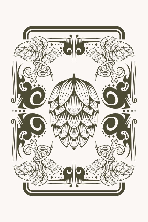 hop fruit decoration vector illustration