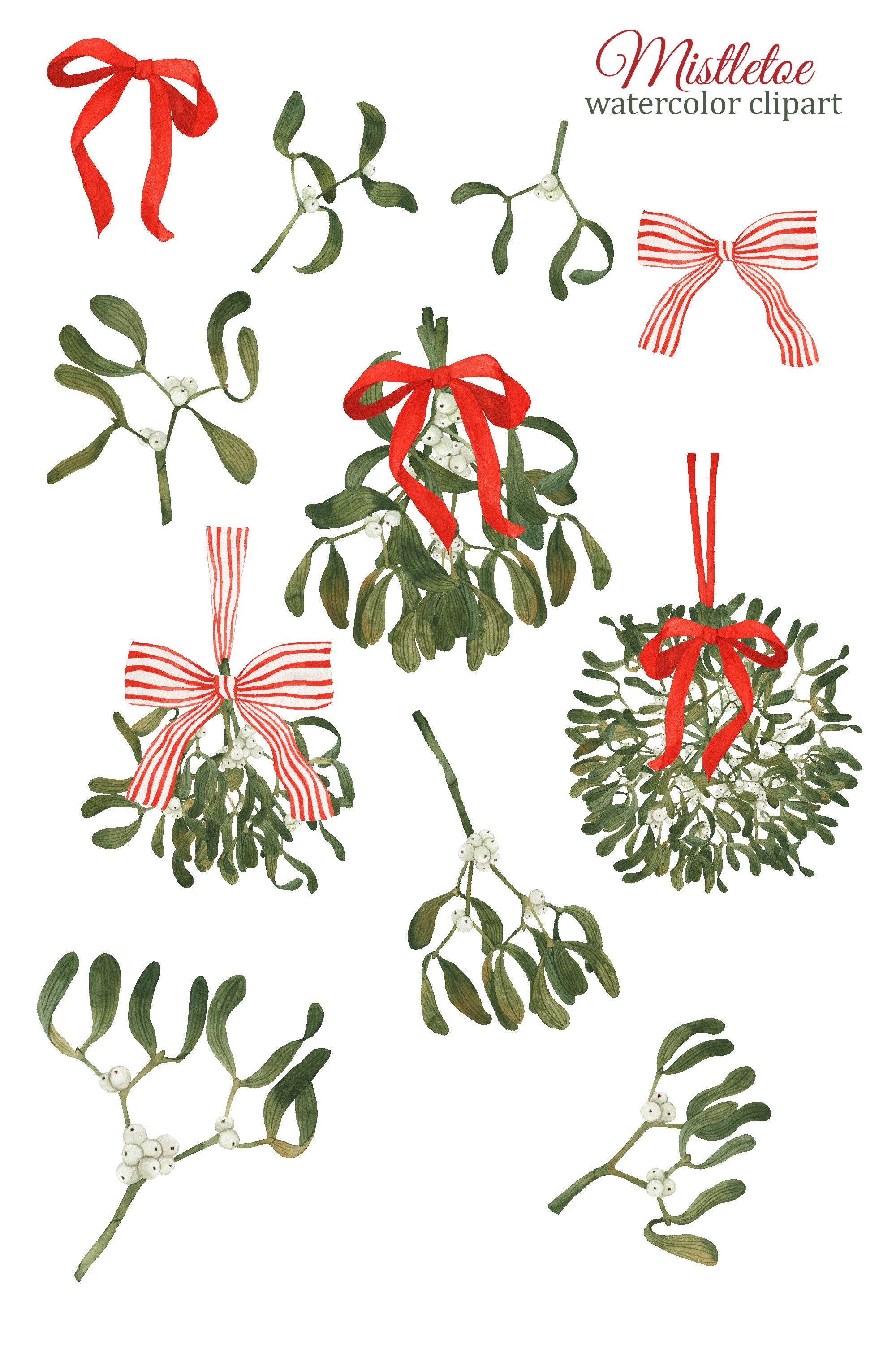 Mistletoe watercolor clipart, Christmas greenery PNG, winter