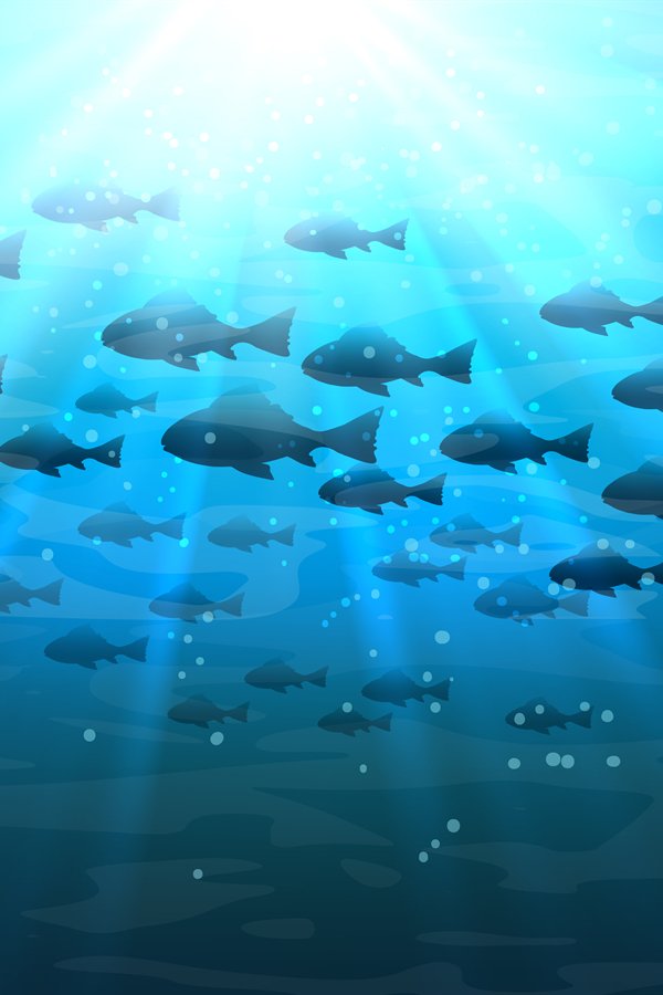 Shoal of sea fish in ocean