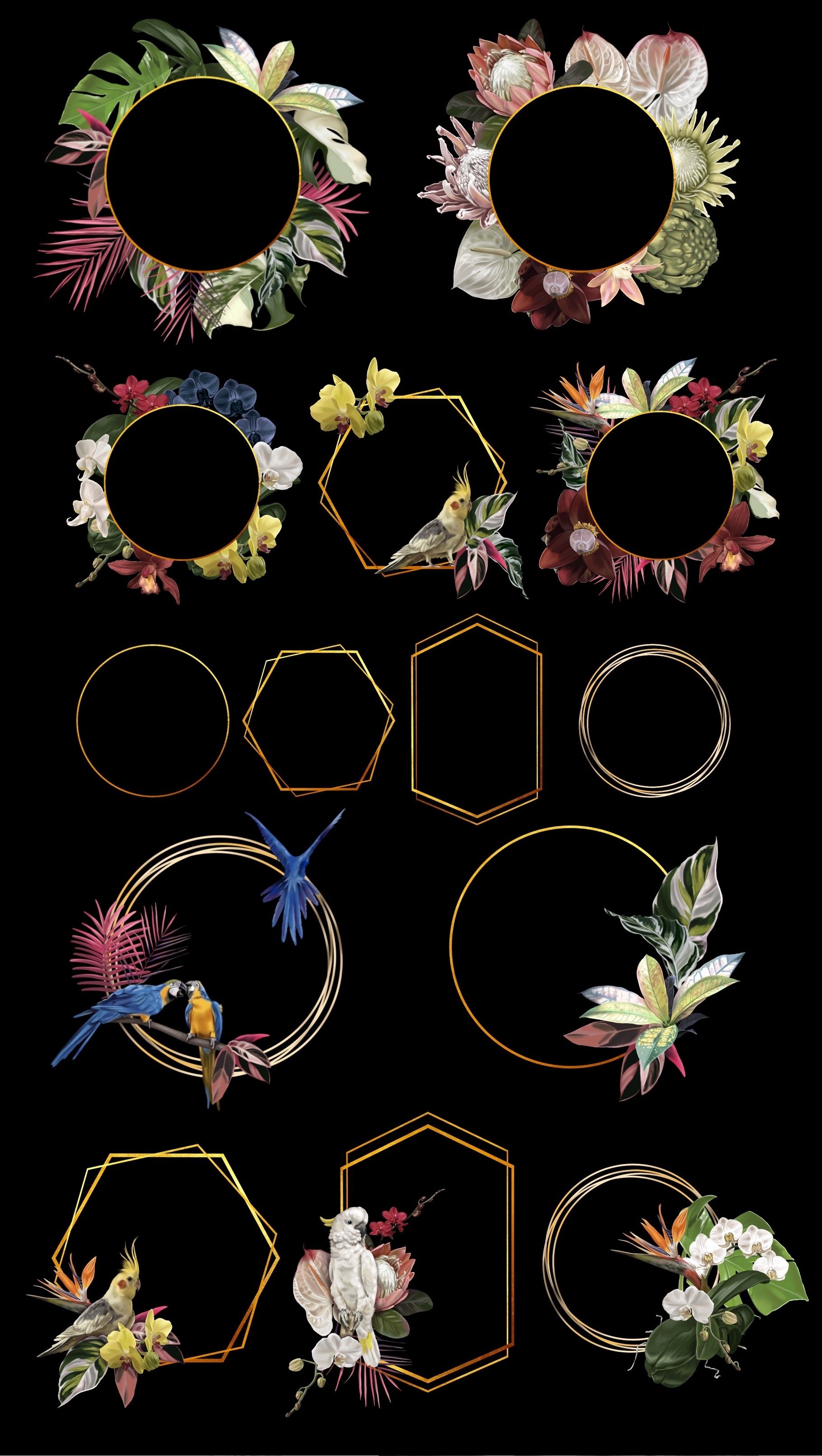 BIG BUNDLE Tropical Parrot, Wedding jungle clipart