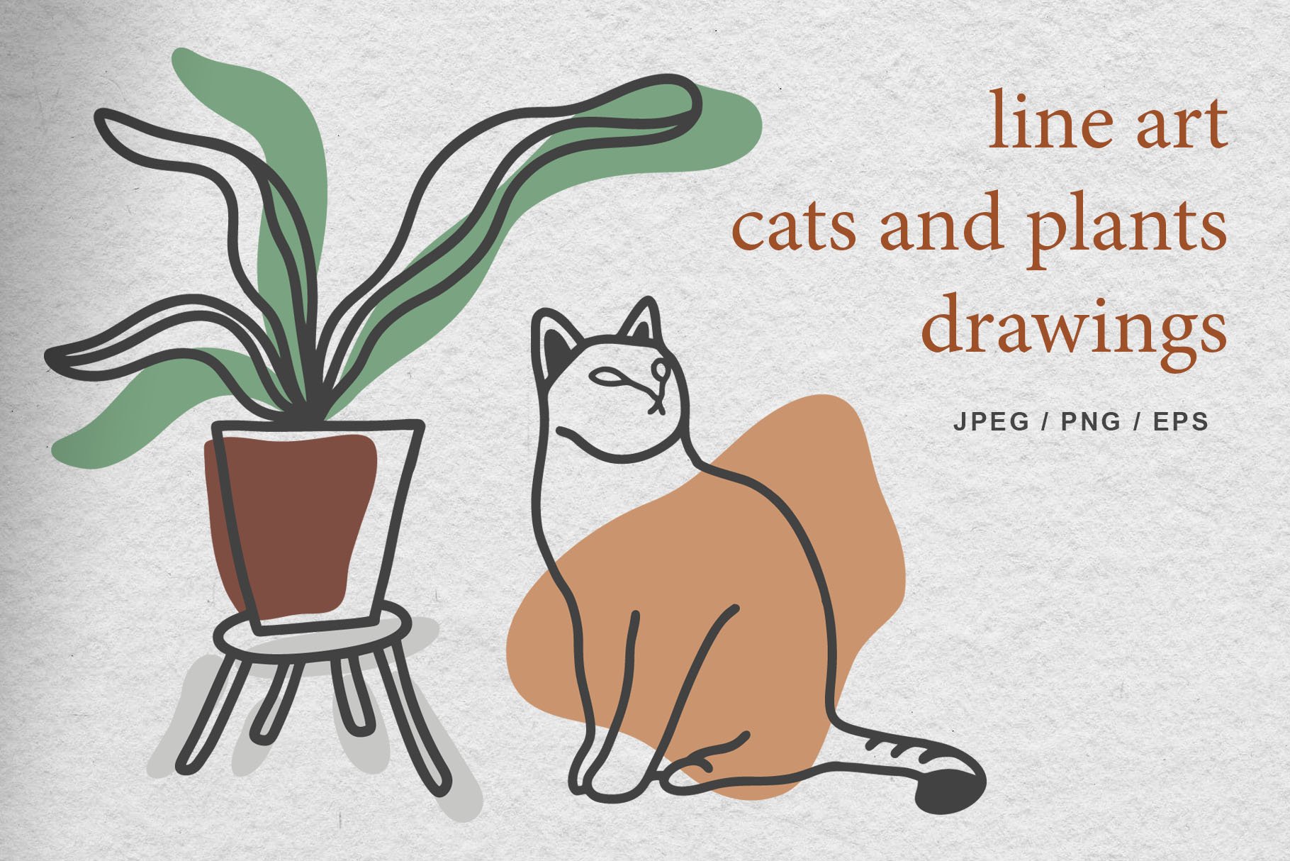 Line art flower and cat drawings