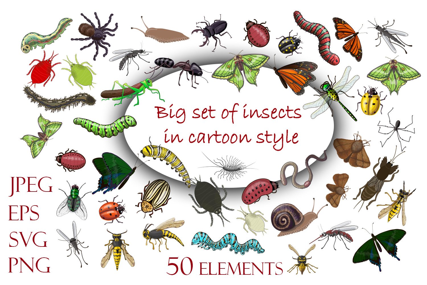 Insects collection. Vector (1025040)