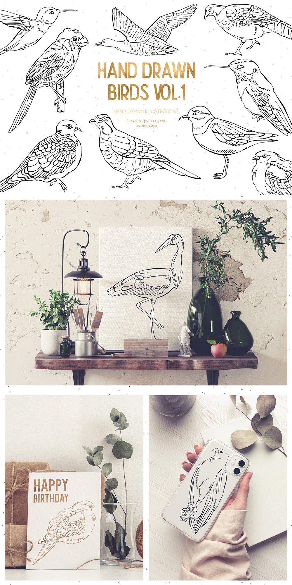 Hand Drawn Birds Illustrations Vol.1