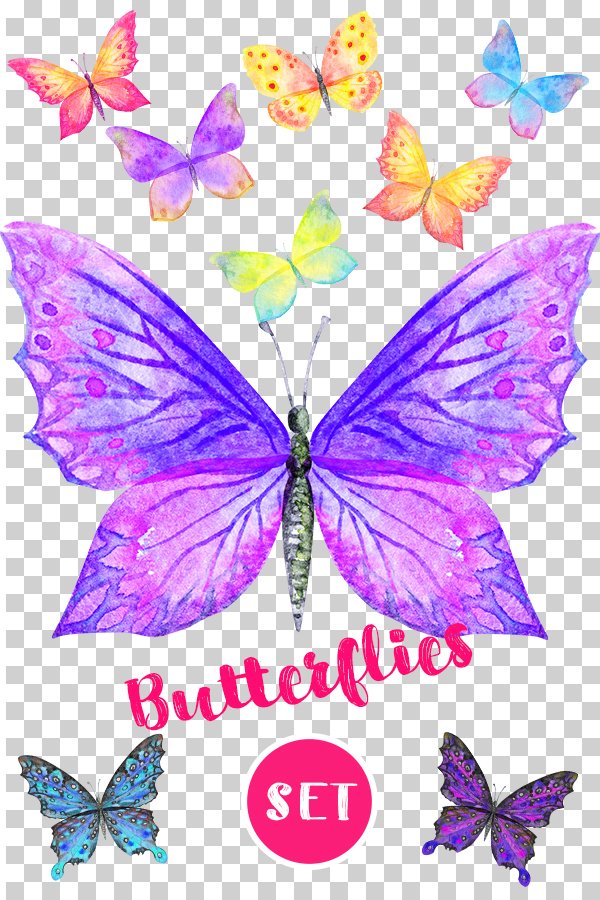 Watercolor butterflies set