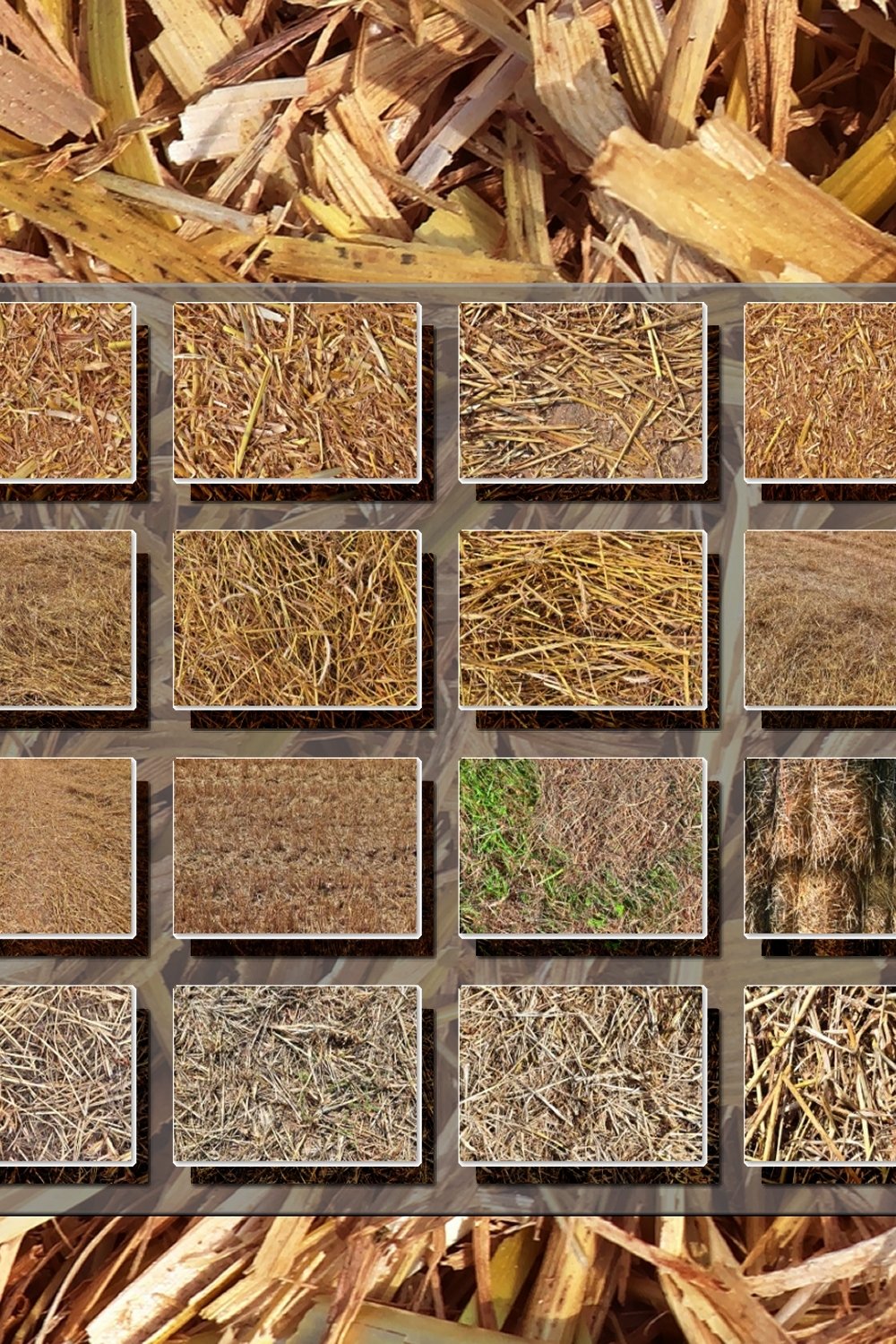 24x Straw surface texture - high resolution