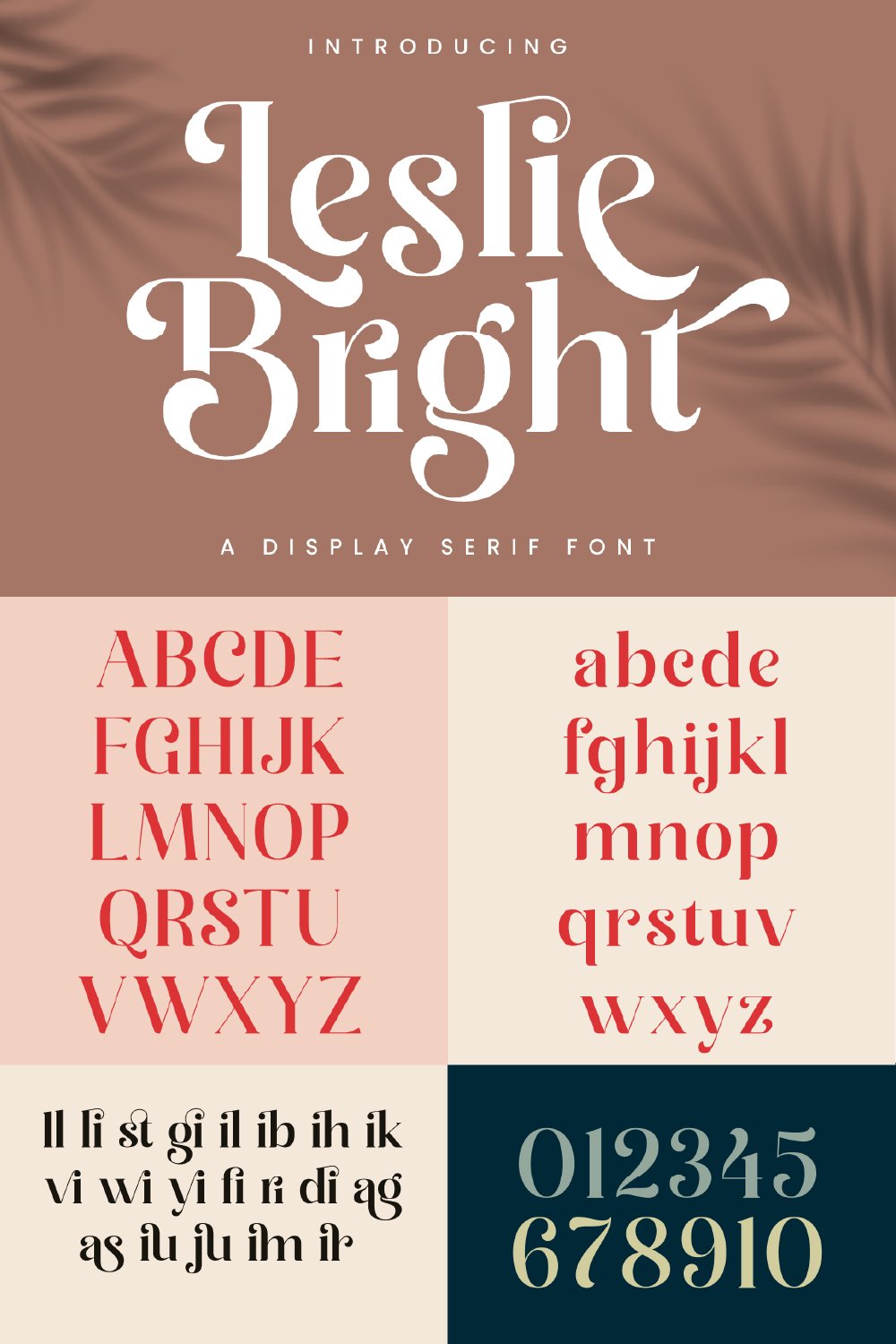 Leslie Bright - Display Serif Font