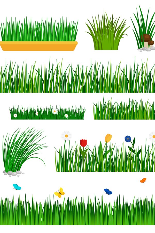 Growing grass template for garden