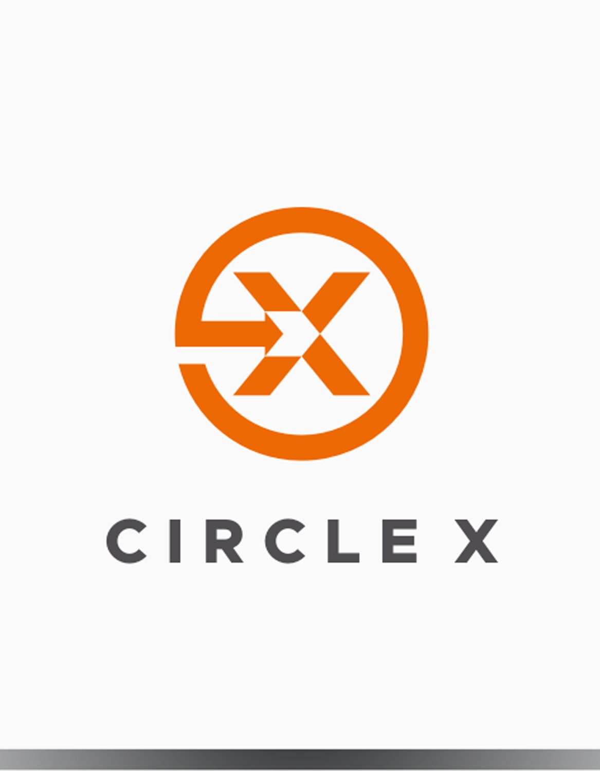 Circle Letter X vector logo design template (3173117)