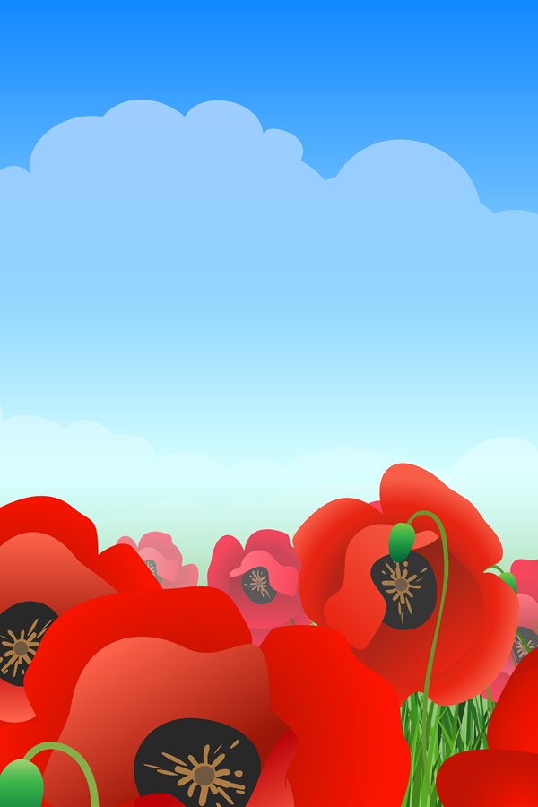 Illustrated poppy field landscape