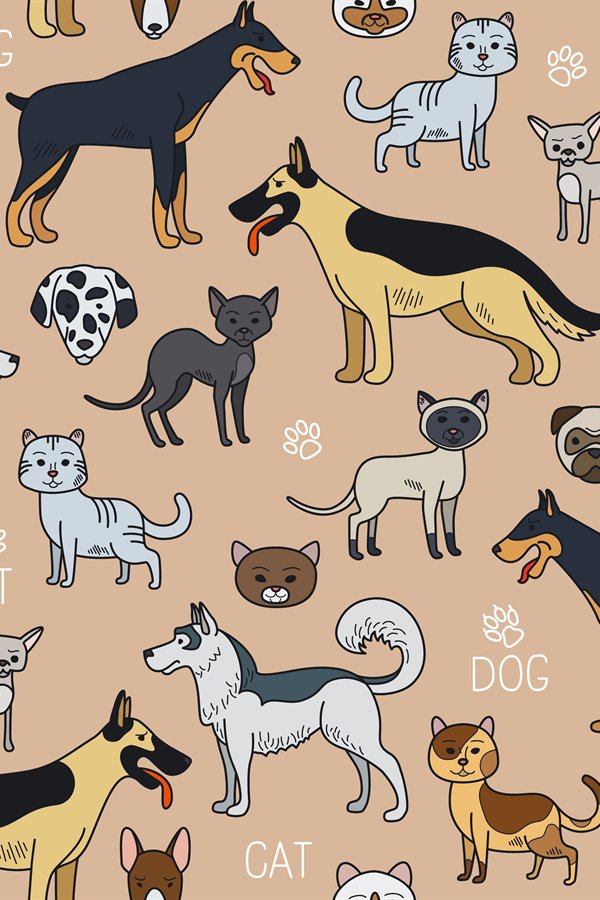 Cats and dogs seamless pattern (811994)