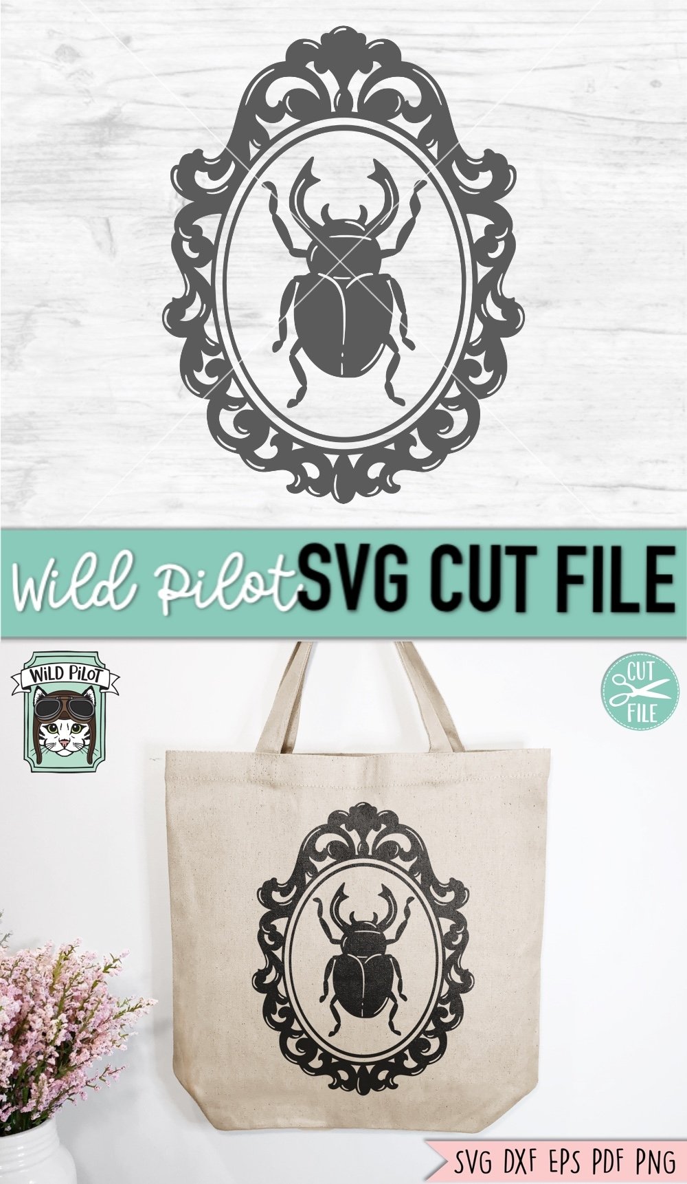 Beetle SVG, Insect SVG, Animal SVG, Beetle PNG, Bug SVG