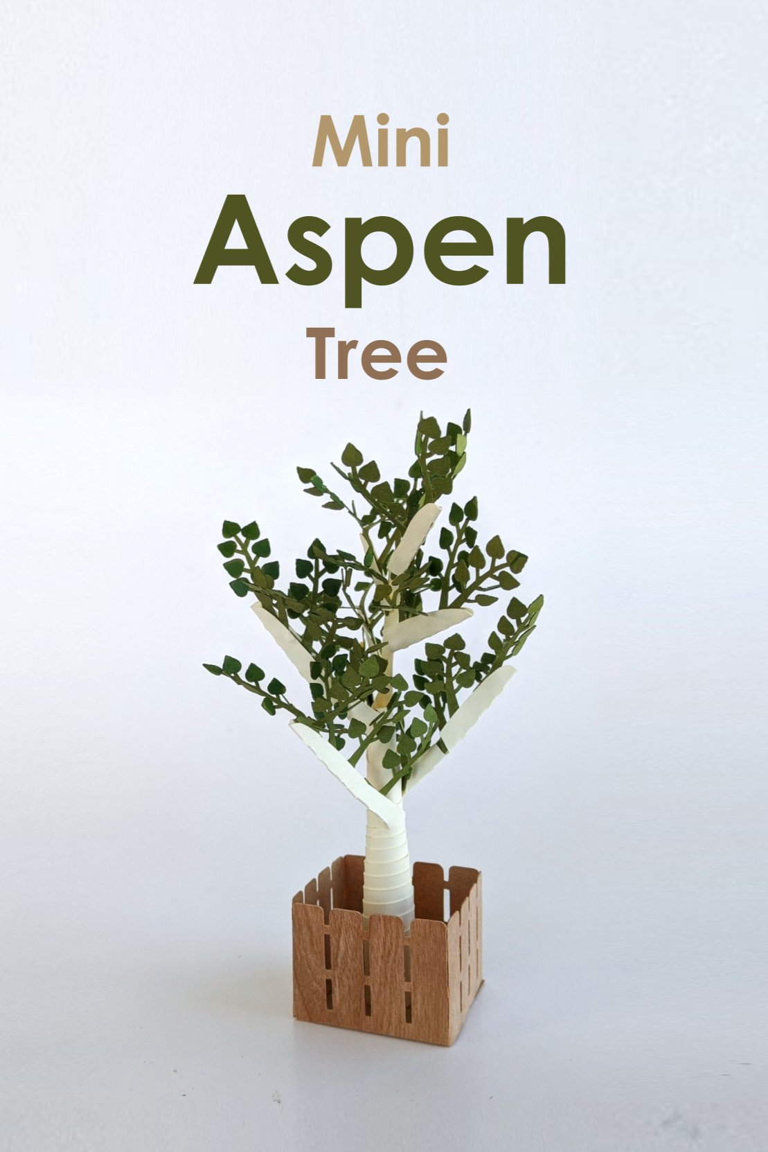 Craft Your Own Mini Aspen Tree and Planter Box