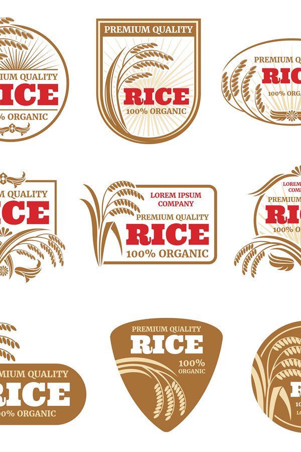 Paddy rice vector labels. Organic natural product emblems