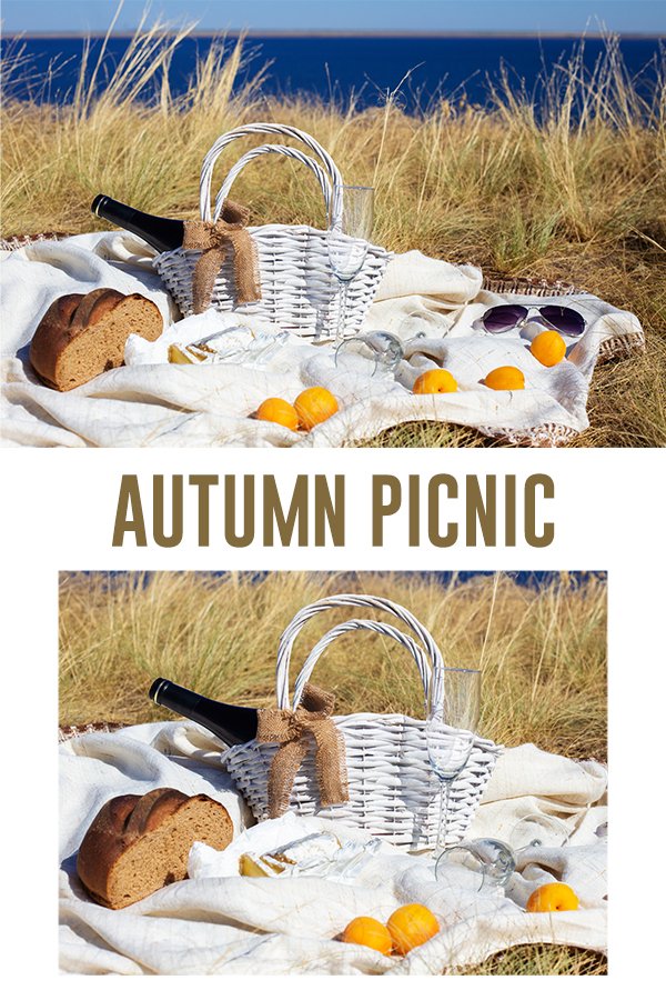 Picnic setting on steppe meadow near the sea