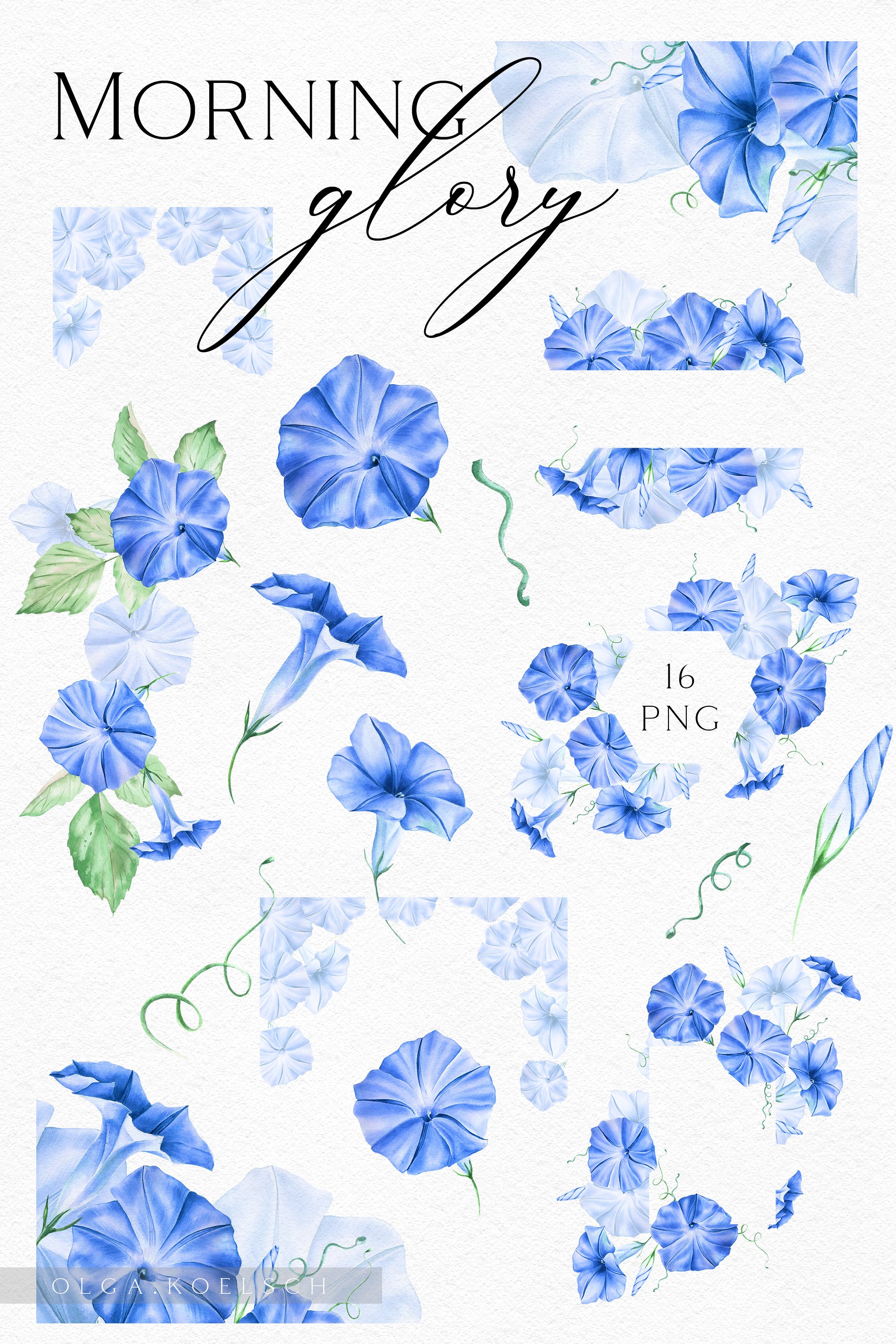 Watercolor blue floral modern clipart Hand drawn flowers