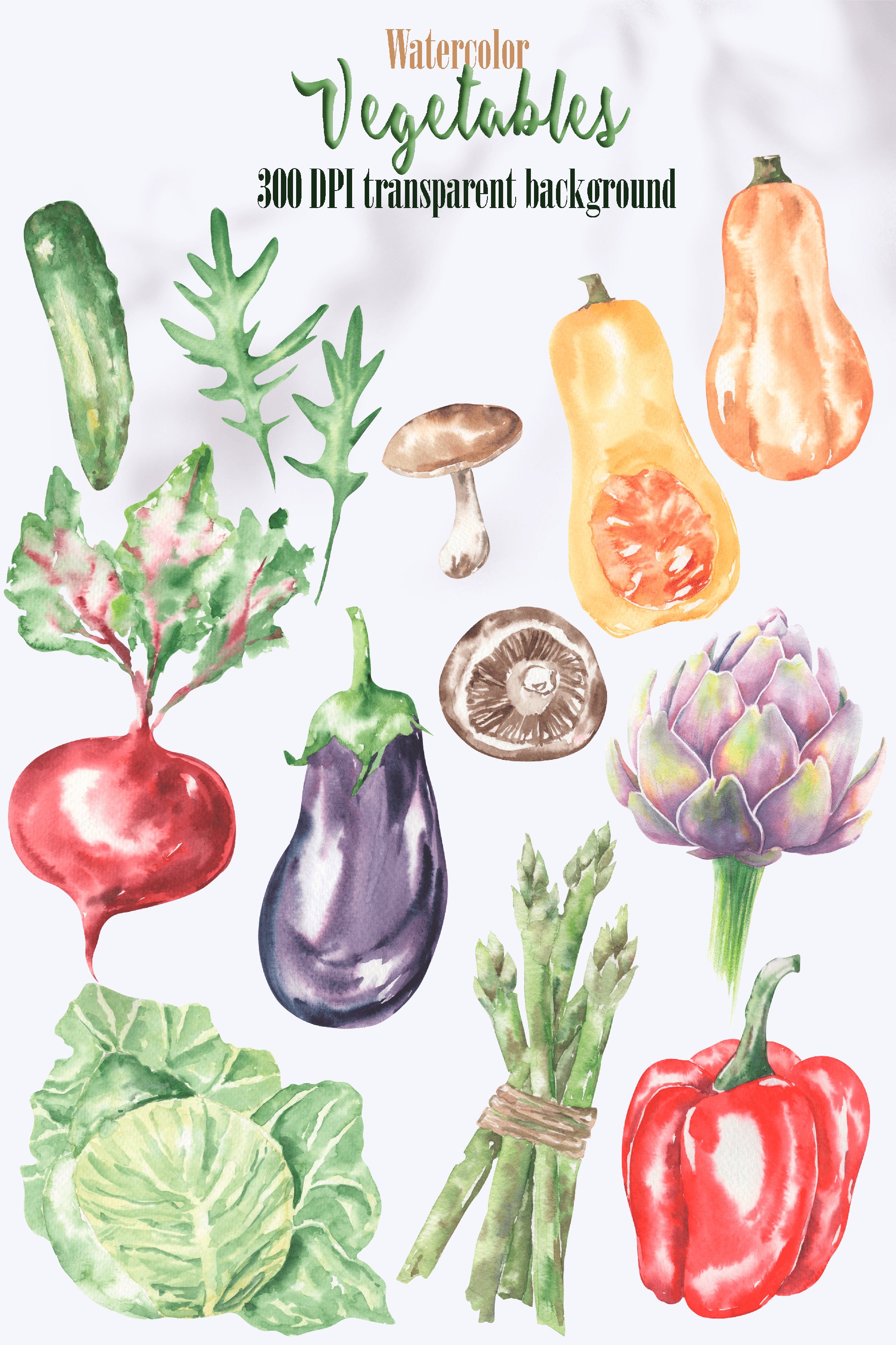 Watercolor vegetables clipart. Handpainted vegetables