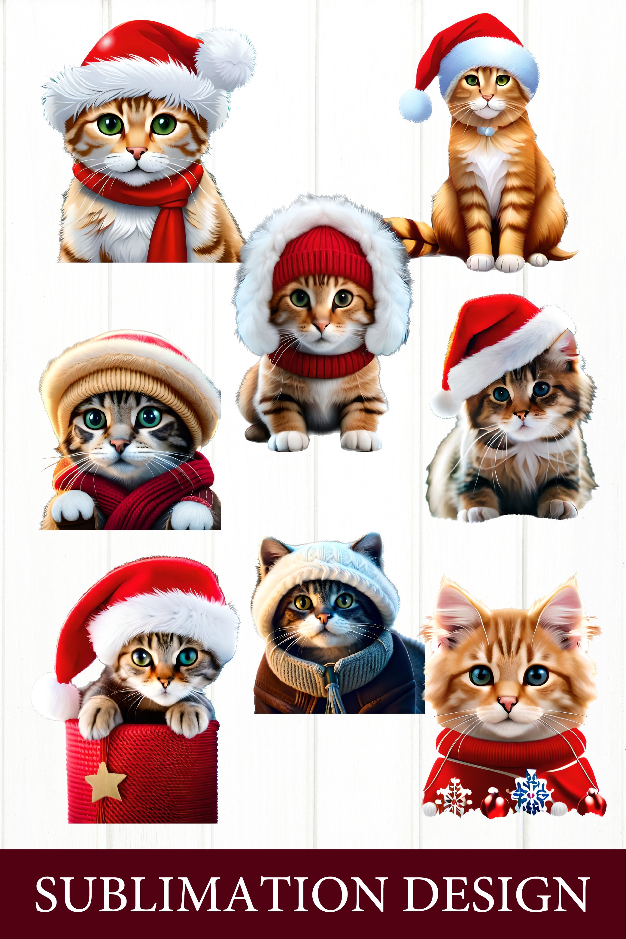 Christmas Cat Sublimation PNG. Winter Cat Clipart PNG