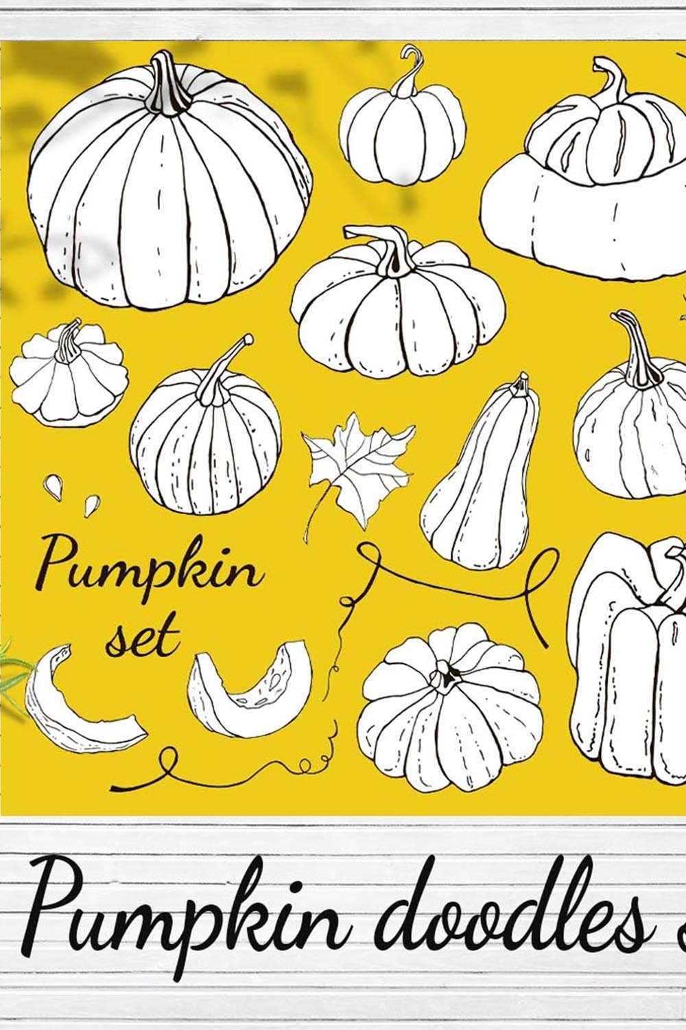 Pumpkin doodle vector clipart for coloring. PNG, SVG