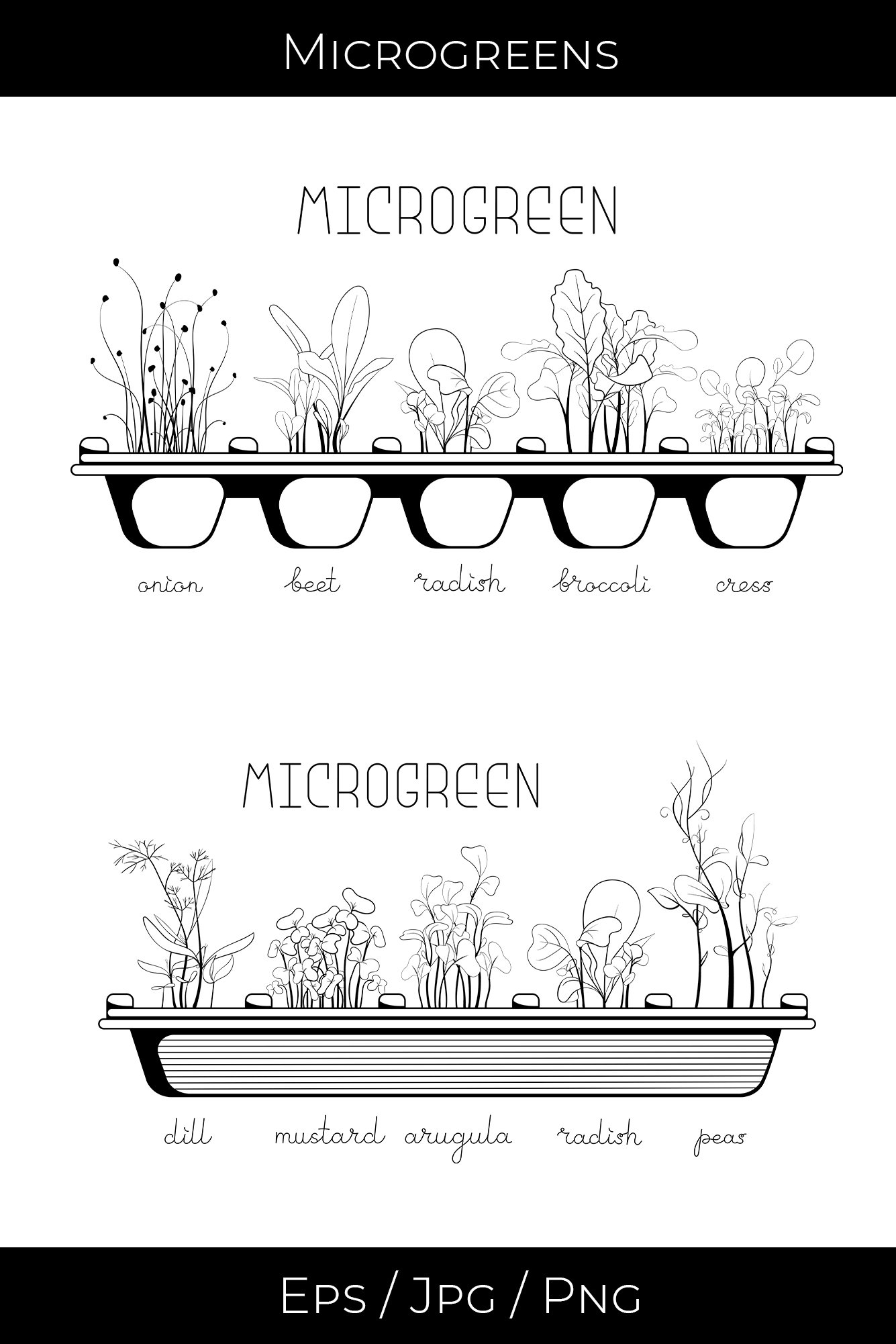 Microgreen sketch vector art. Green for home (1475146)