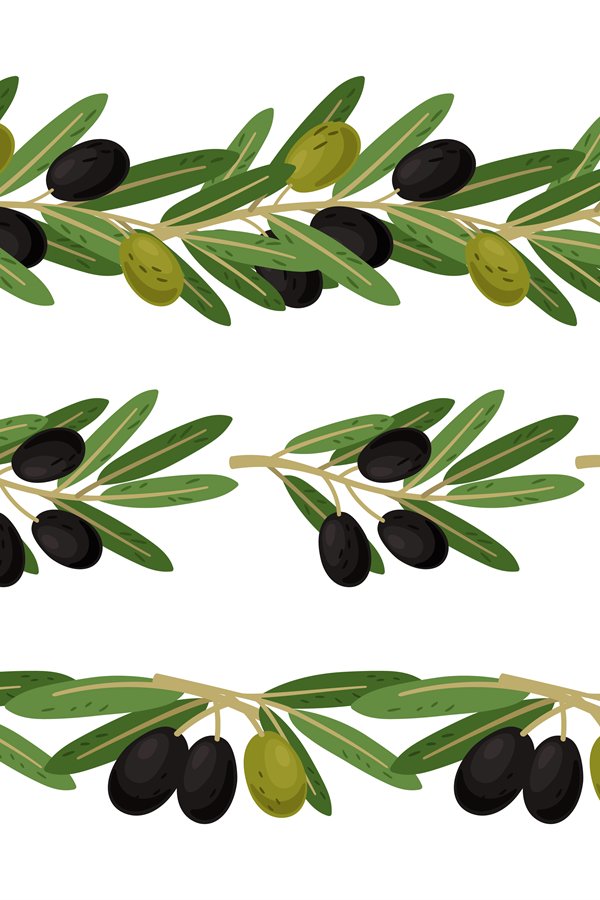 Olive branches seamless border