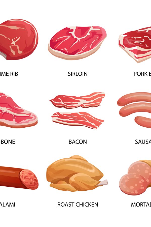 Types of meat and meat products vector illustration