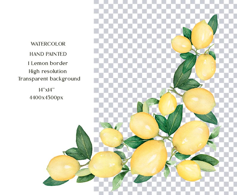 Watercolor Lemon Border set