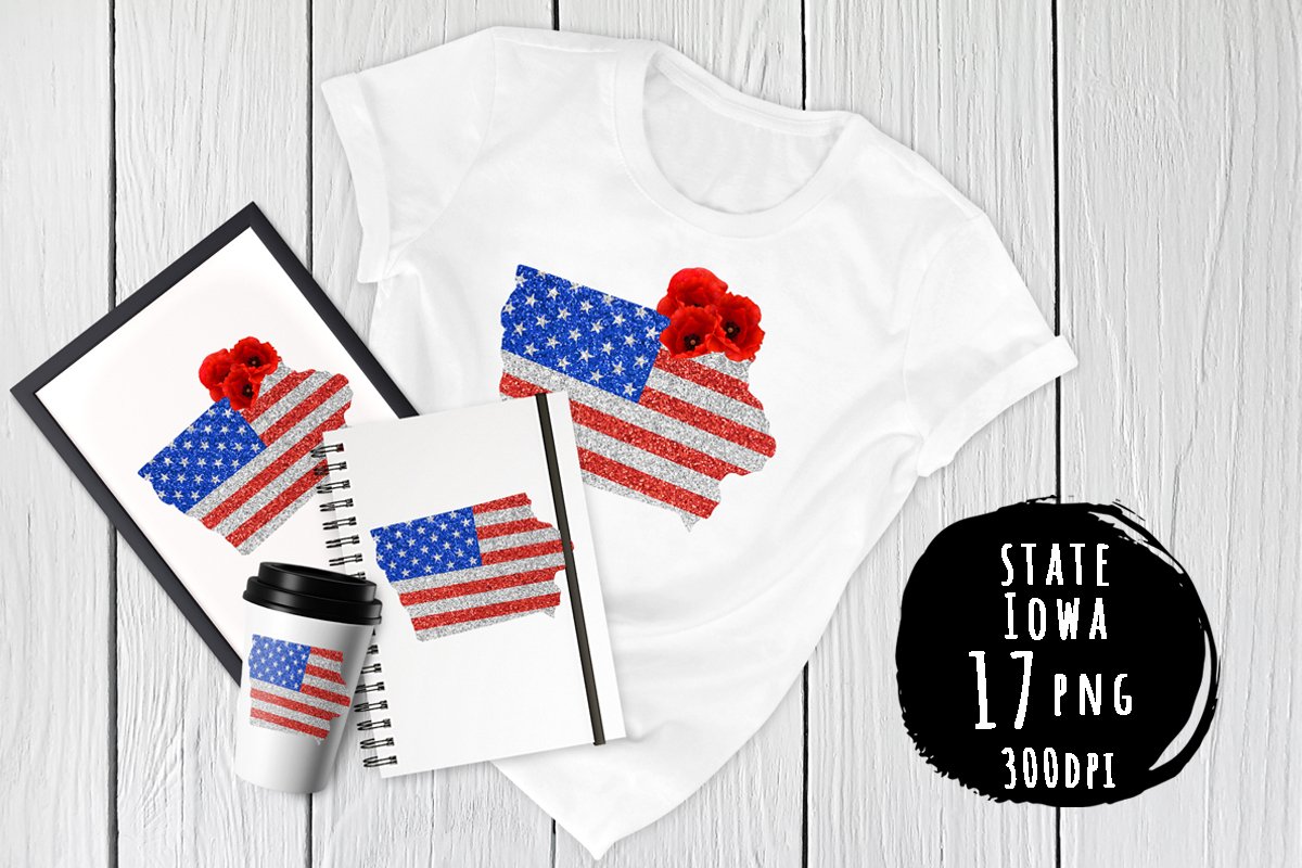 Political divisions of the US. State Iowa