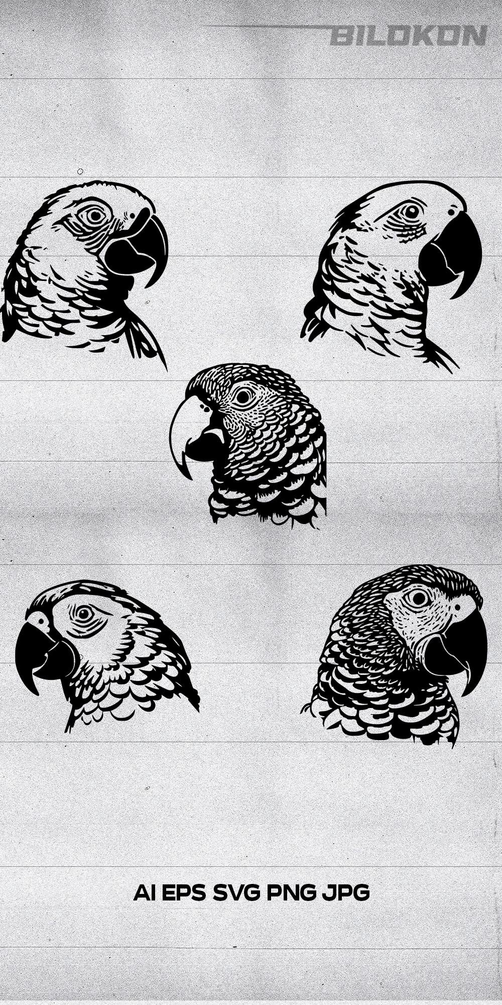 Parrot head Vector illustration, SVG Bundle