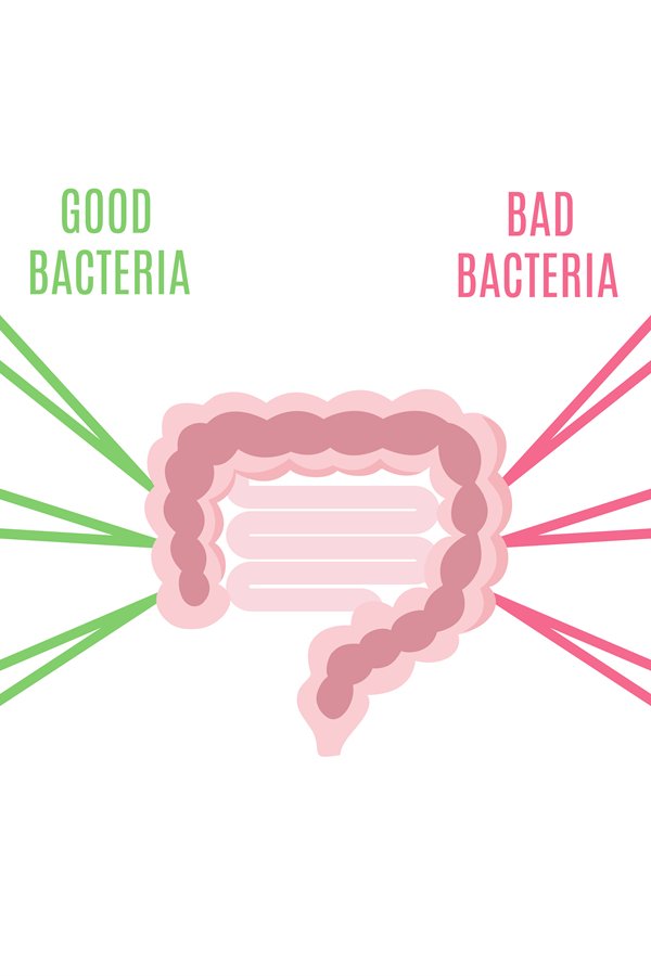 Poster of intestinal flora gut health vector concept with ba
