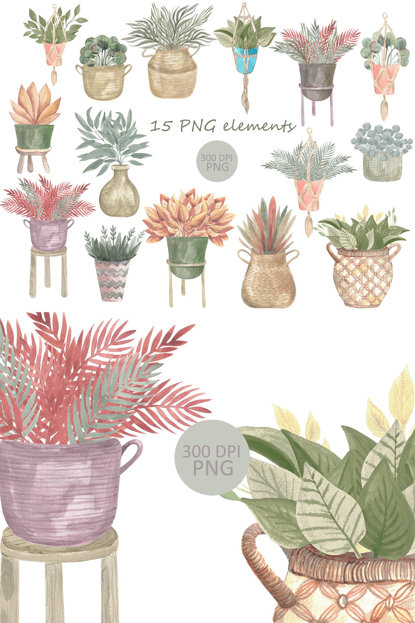 Boho house plant clipart and digital paper