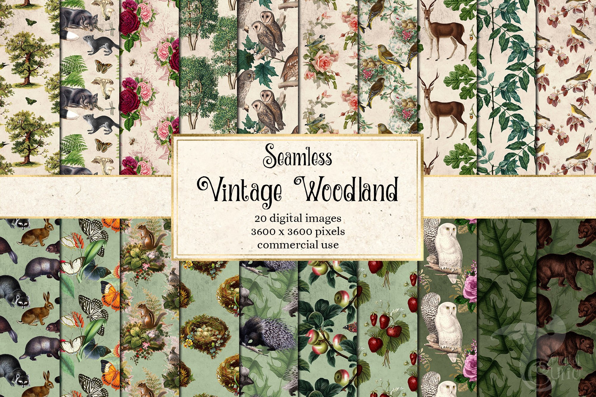 Vintage Woodland Digital Paper (1602915)