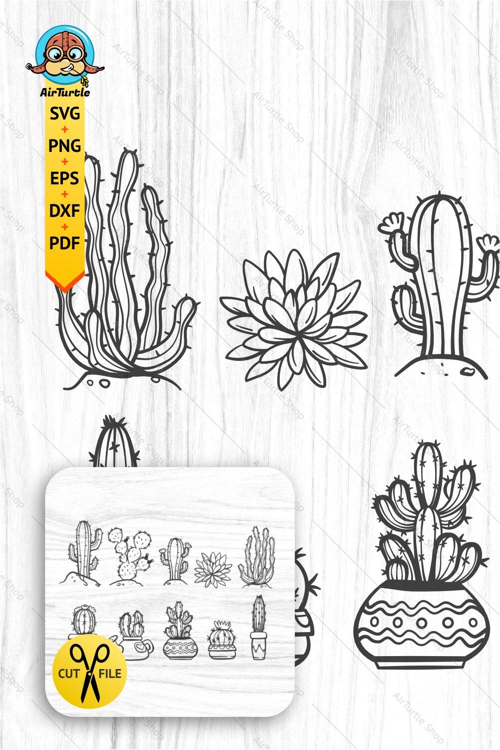 Cactus SVG, Plants SVG, Cactus cut file (1920716)