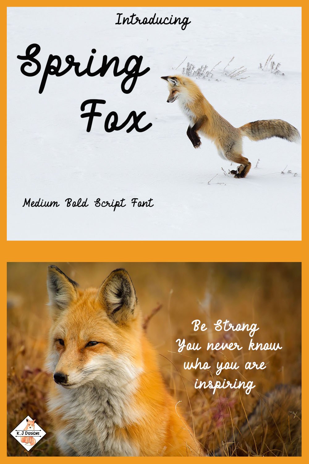 Spring Fox Monoline Script Font