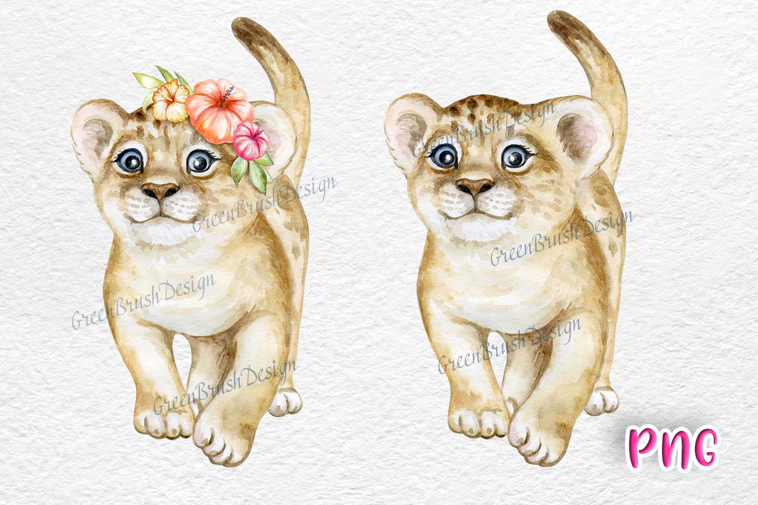 Baby Lion. Lion cub. Watercolor little animal clipart