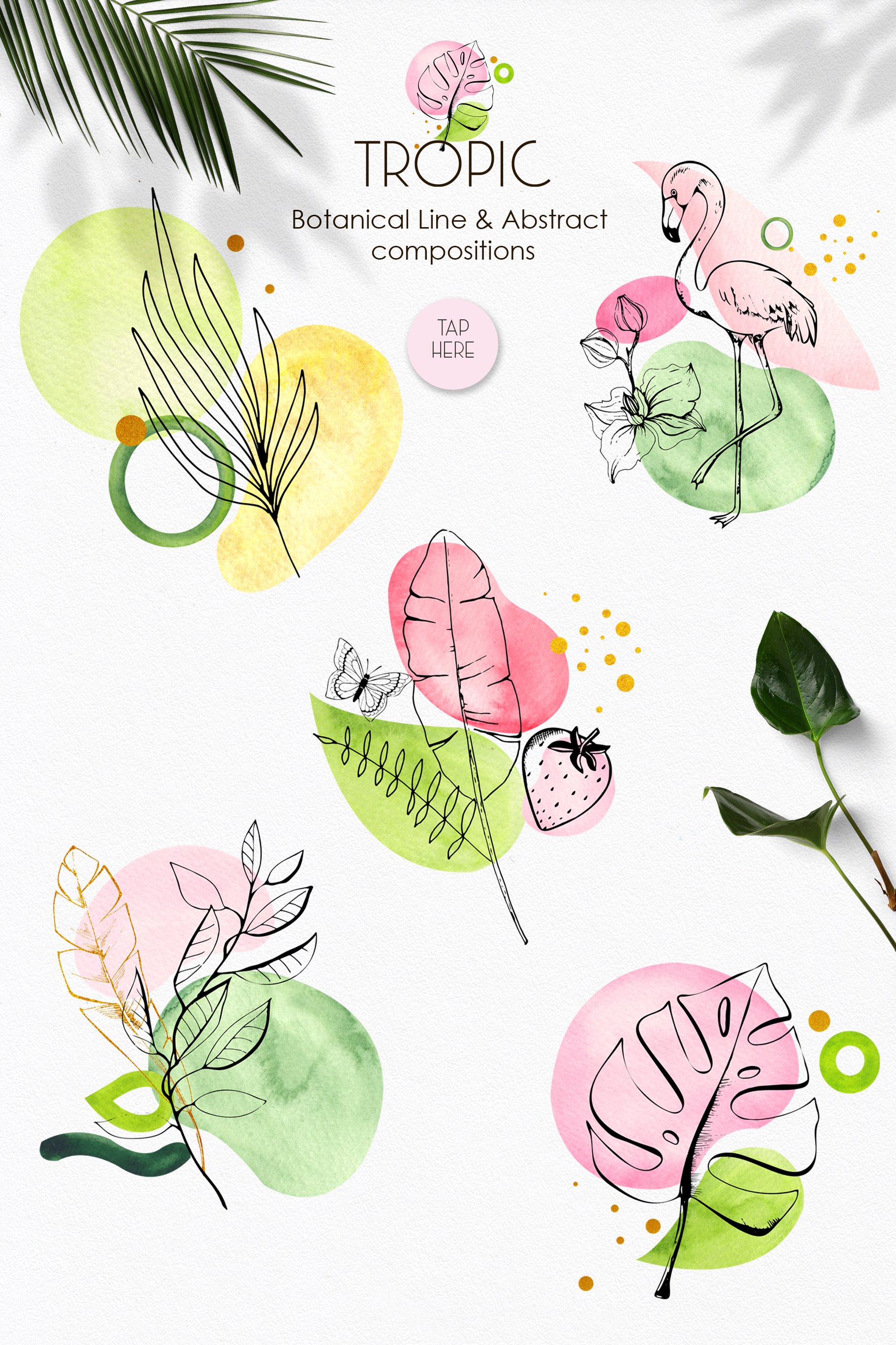 Tropical Line & Abstract Art