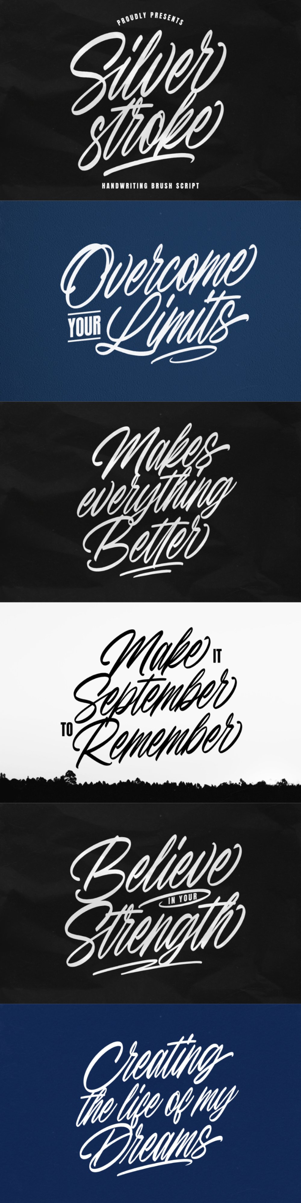 Silver stroke (4808999)