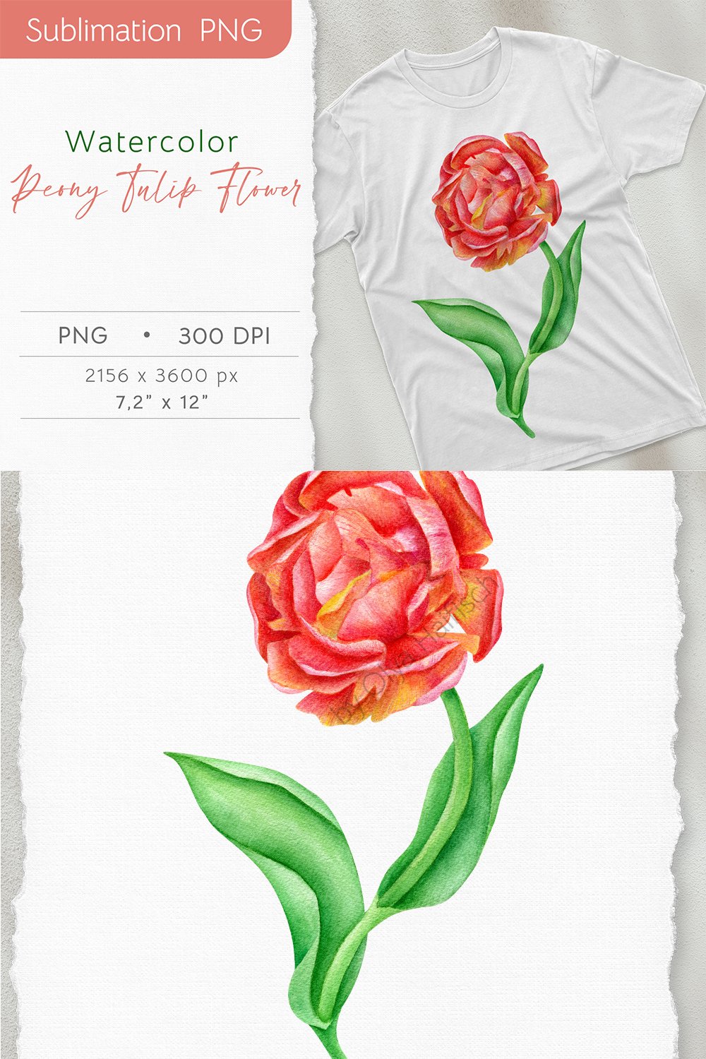 Watercolor Floral Sublimation PNG. Spring Flower clipart