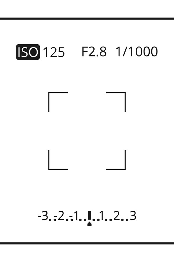 Camera viewfinder focusing screen display with photo control