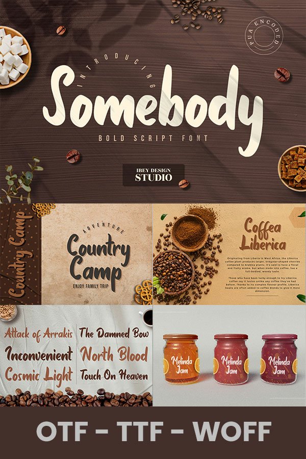 Somebody Bold Script Font