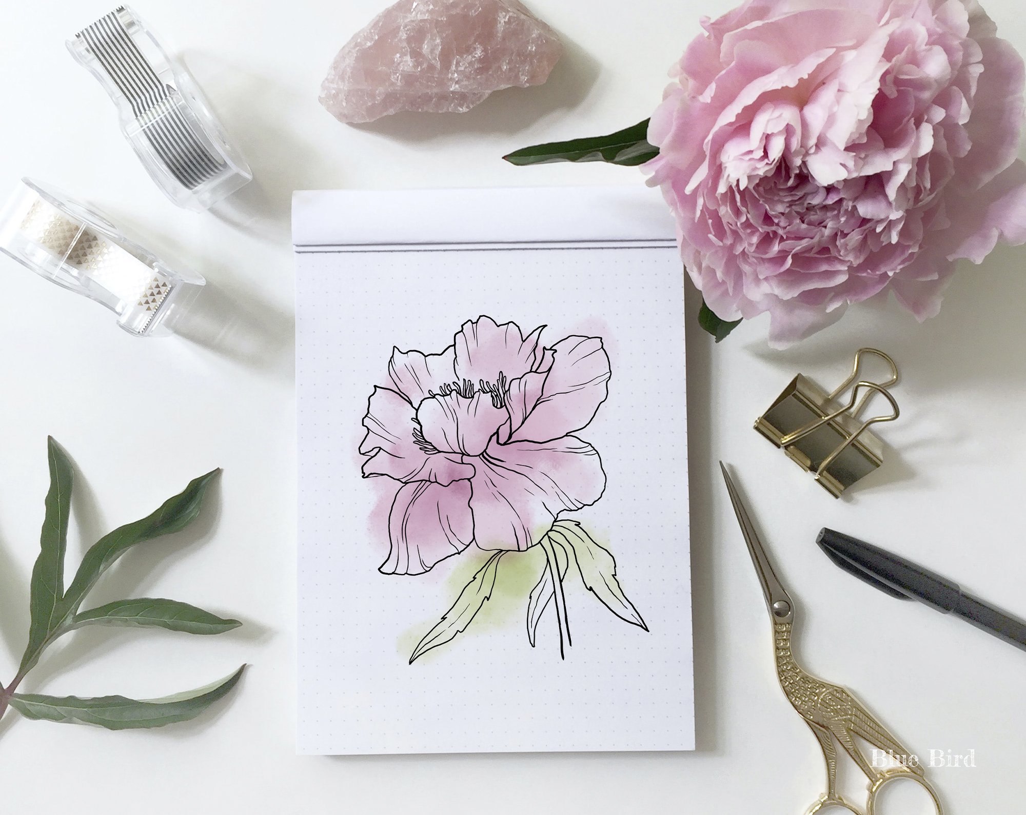 Peony line art. Flower fine line