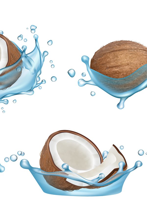 Coconut water set. Vector realistic coconuts and water splas