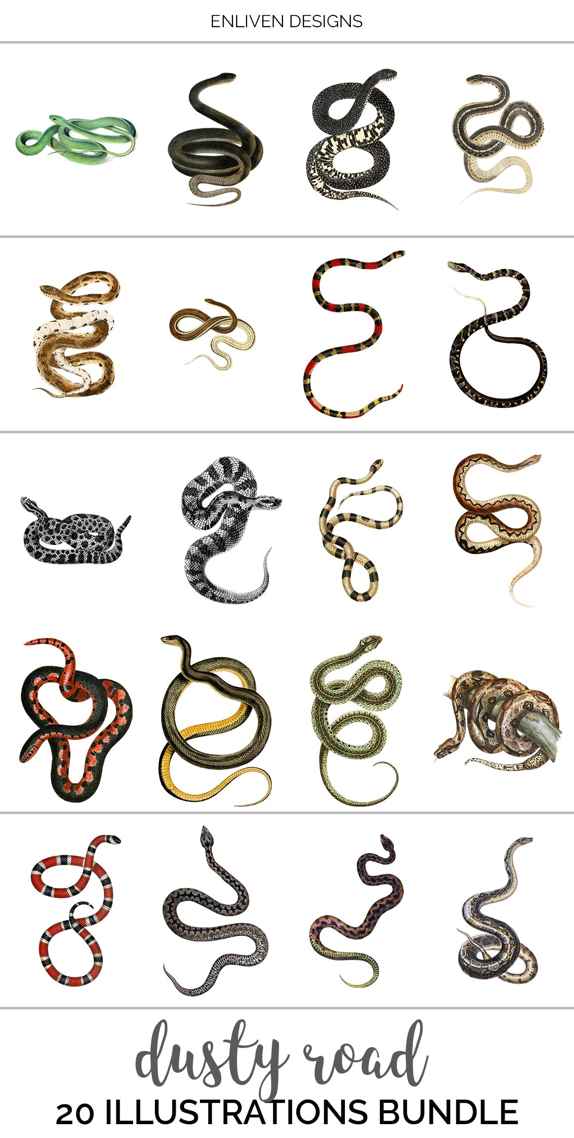 Snake Bundle Vintage Clipart