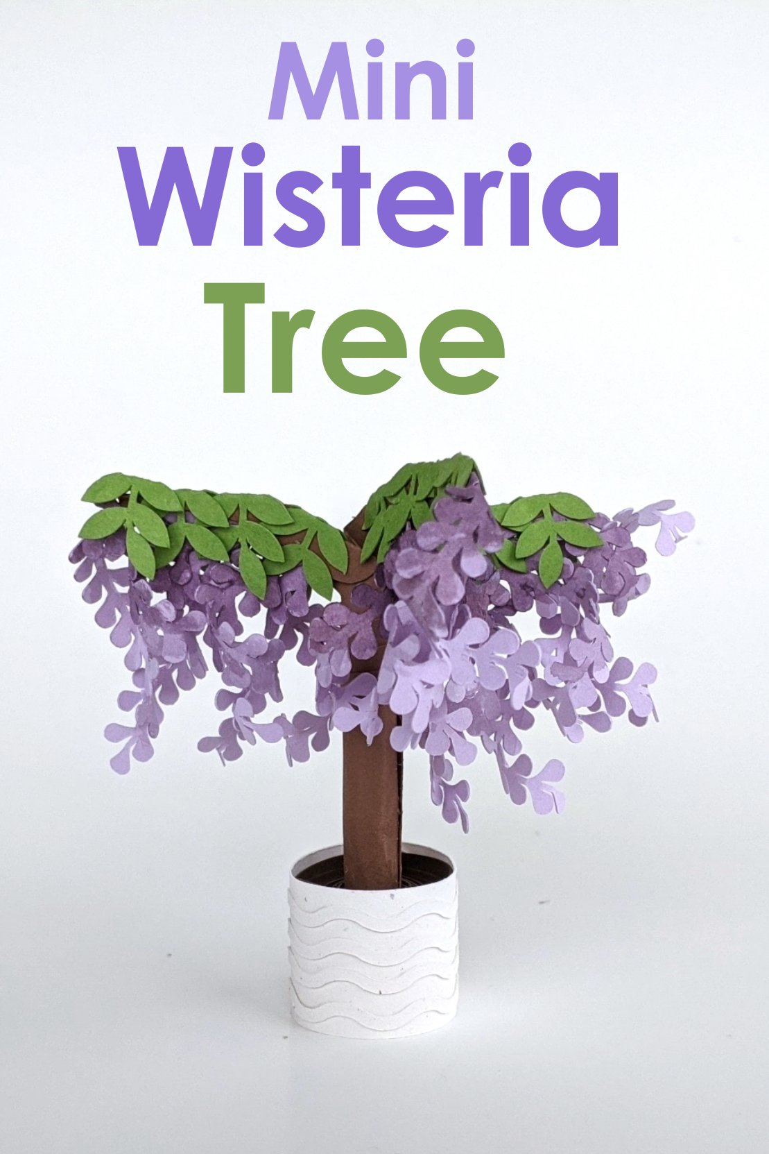 Mini Flowering Wisteria Tree Template