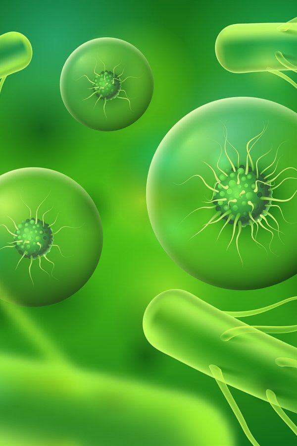 Realistic bacteria and cells. Green microscopic biology or m