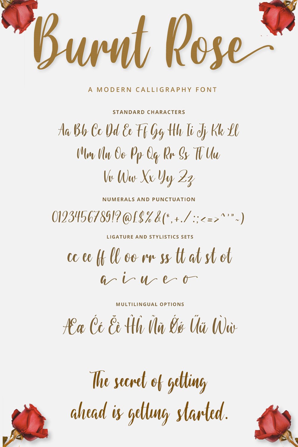 Modern Calligraphy Font OTF TTF - Burnt Rose