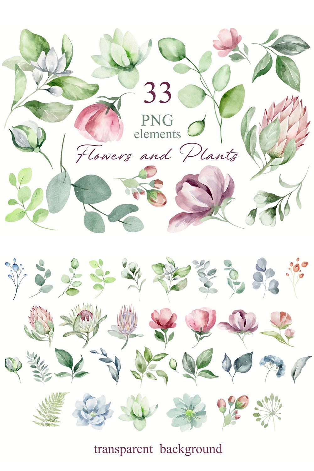 Watercolor set of FLOWERS and PLANTS. 33 PNGs elements.